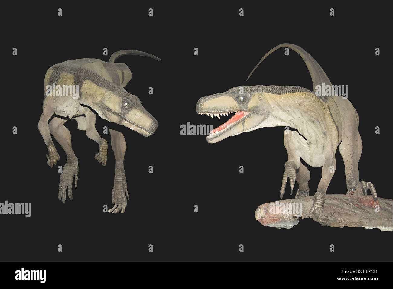 Herrerasaurus Ischigualastensis dinosaur, Museum of the Regional park ...
