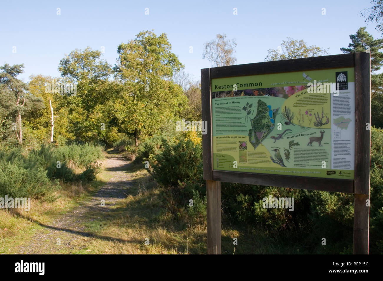 Keston Common, Bromley, England Stock Photo - Alamy
