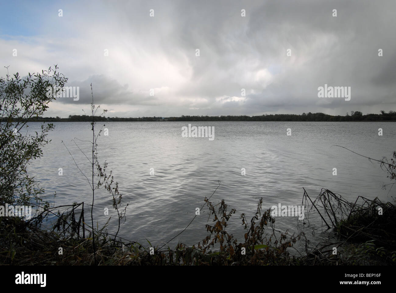 Shoreline lough neagh hi-res stock photography and images - Alamy