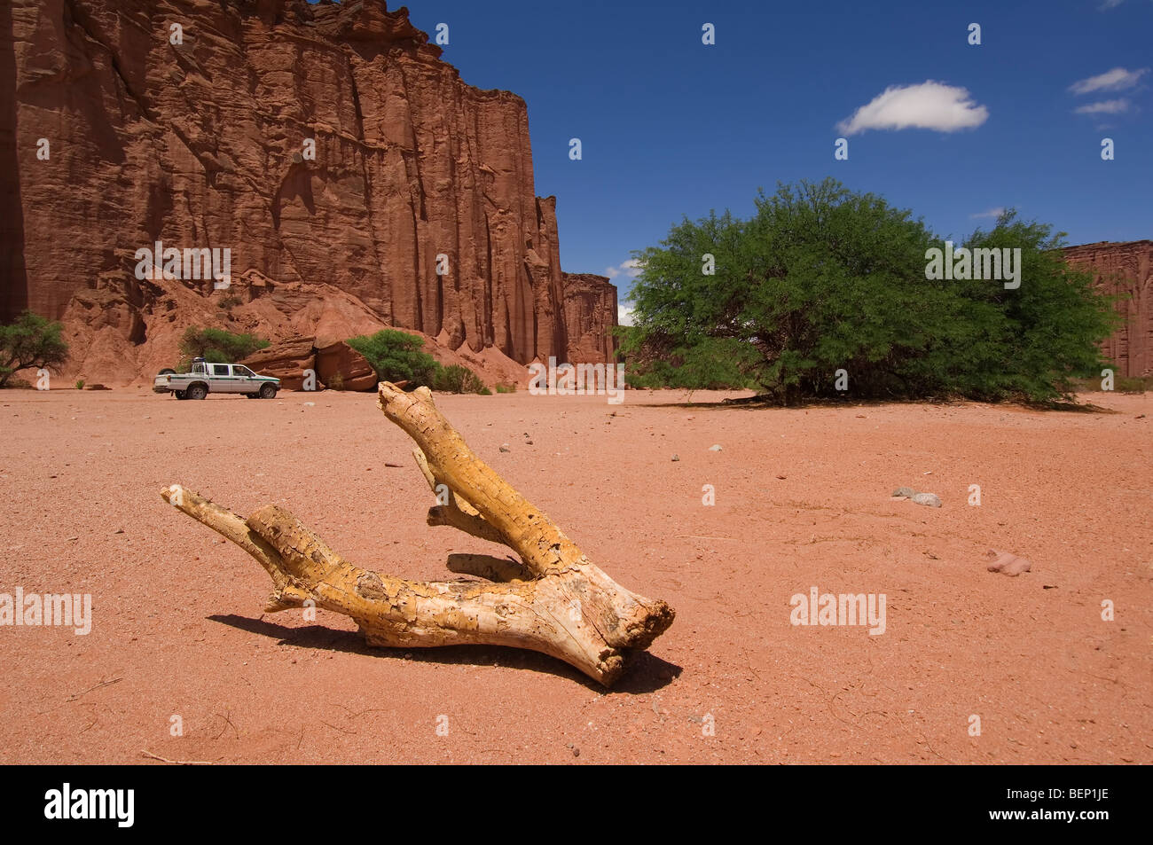 Talampaya National Park, The Cathedral, La Rioja Province, Argentina ...