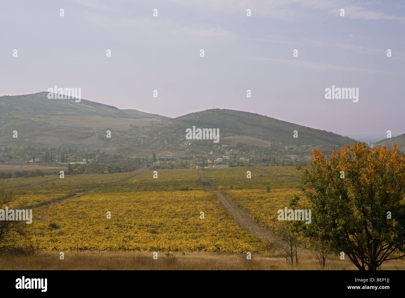Ukraine Crimea Balaclava south valley, scene of fighting in the war of ...