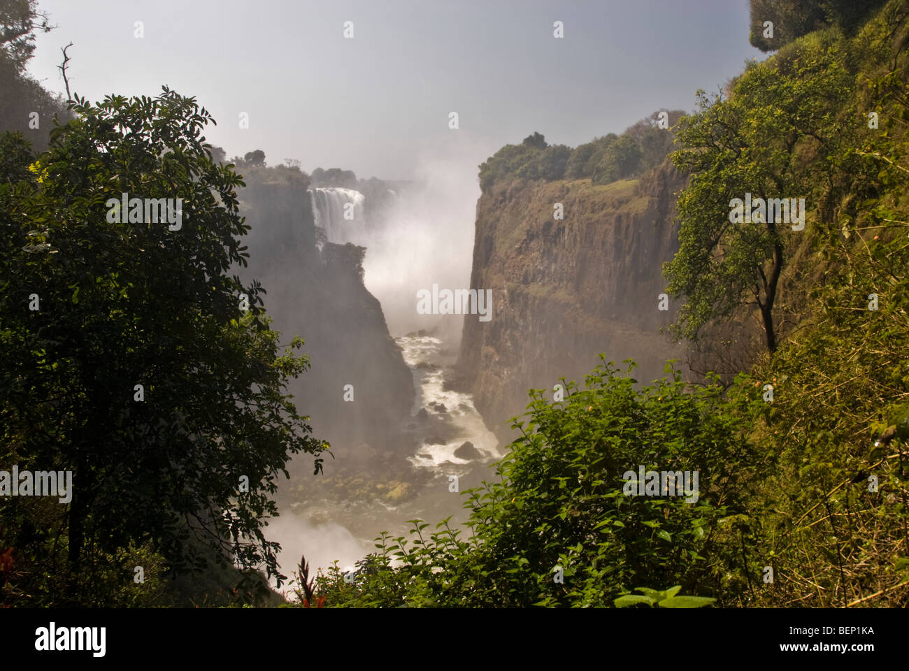 View of the Victoria falls through the trees, Zimbabwe, Africa Stock ...