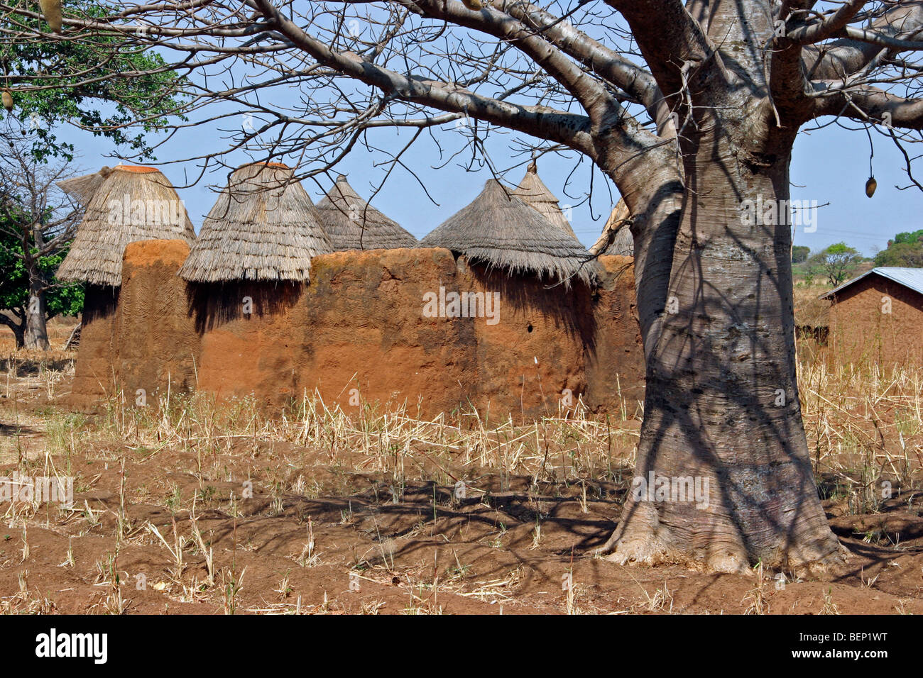 Traditional Tata Somba / Somba houses with thatched roofs and granaries ...