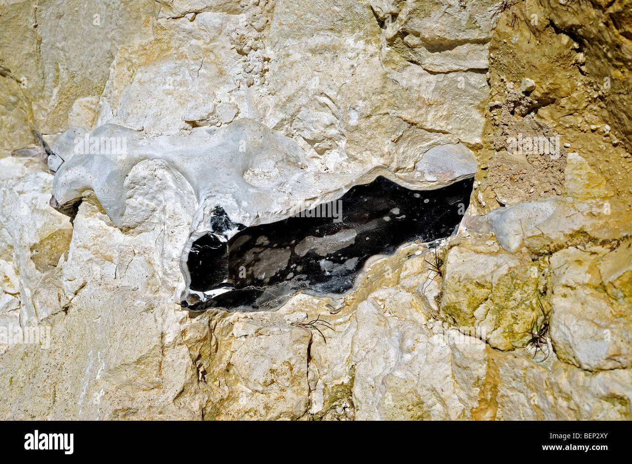 Flint / chert / silex in chalk cliff at Cap Blanc-Nez, Cote d'Opale ...