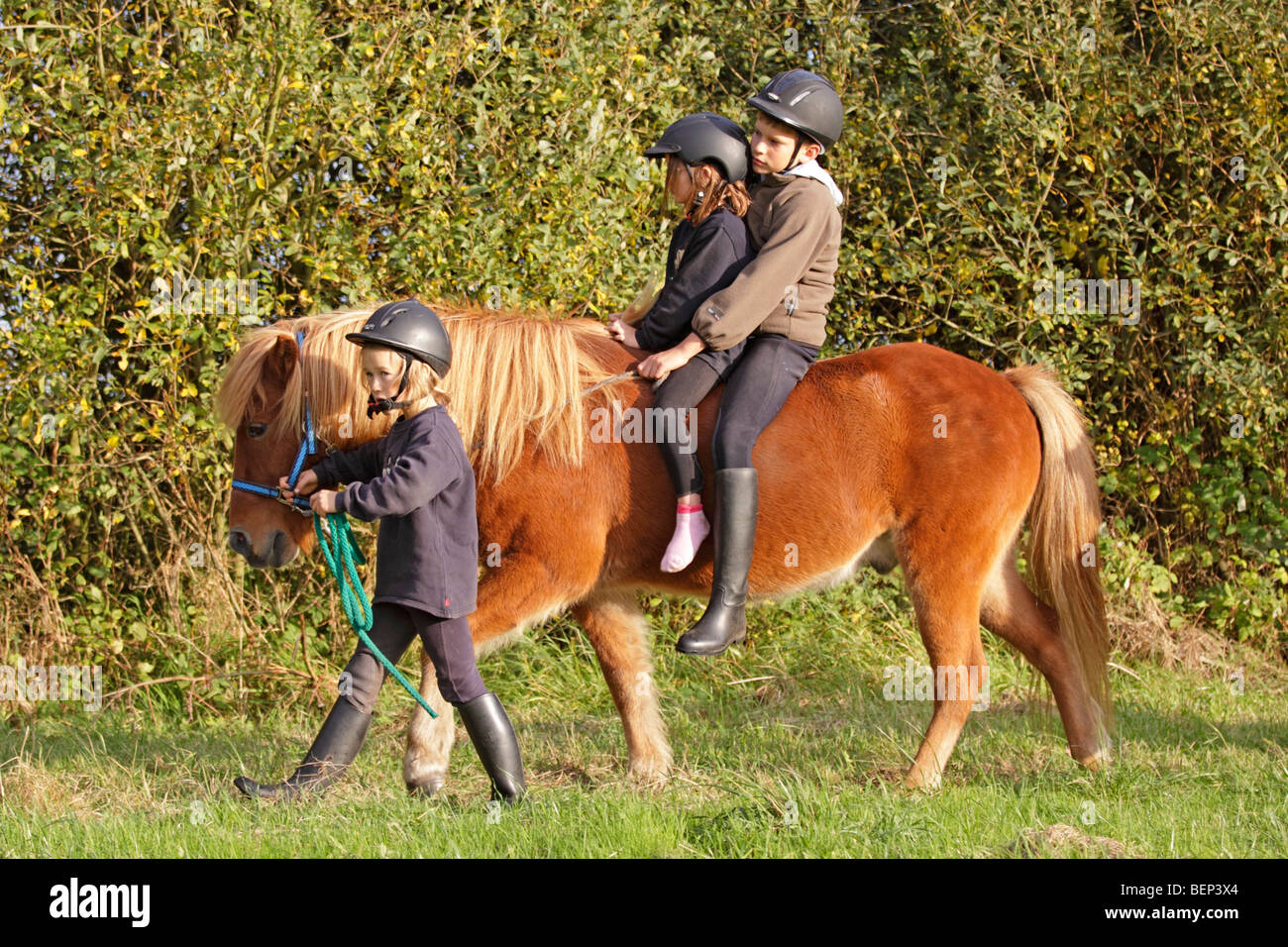 children riding on their ponies through a forest Stock Photo - Alamy