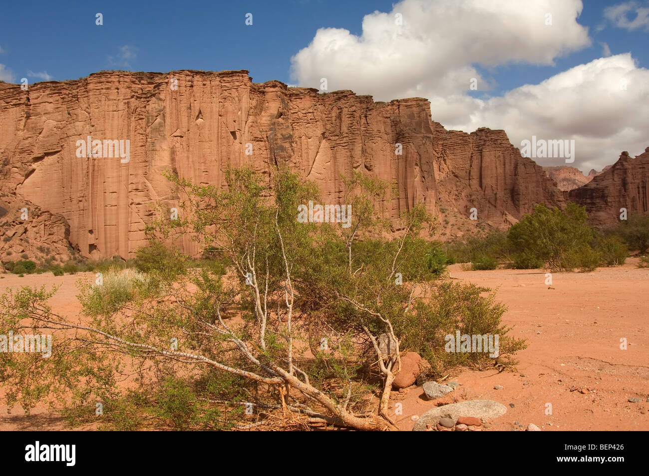 Talampaya National Park, La Rioja Province, Argentina Stock Photo - Alamy