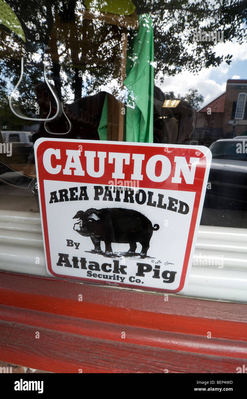 High Springs Florida storefront small town retail attack pig sign Stock ...