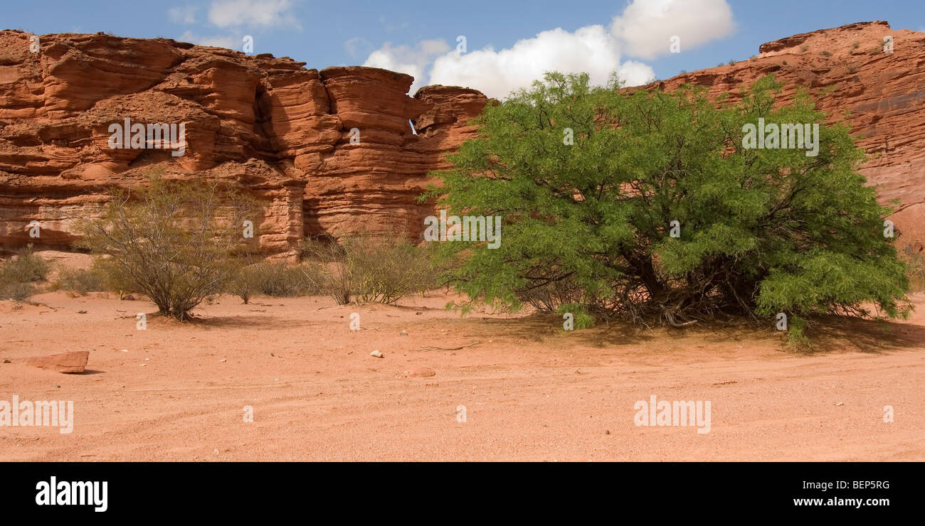 Talampaya National Park, La Rioja Province, Argentina Stock Photo - Alamy