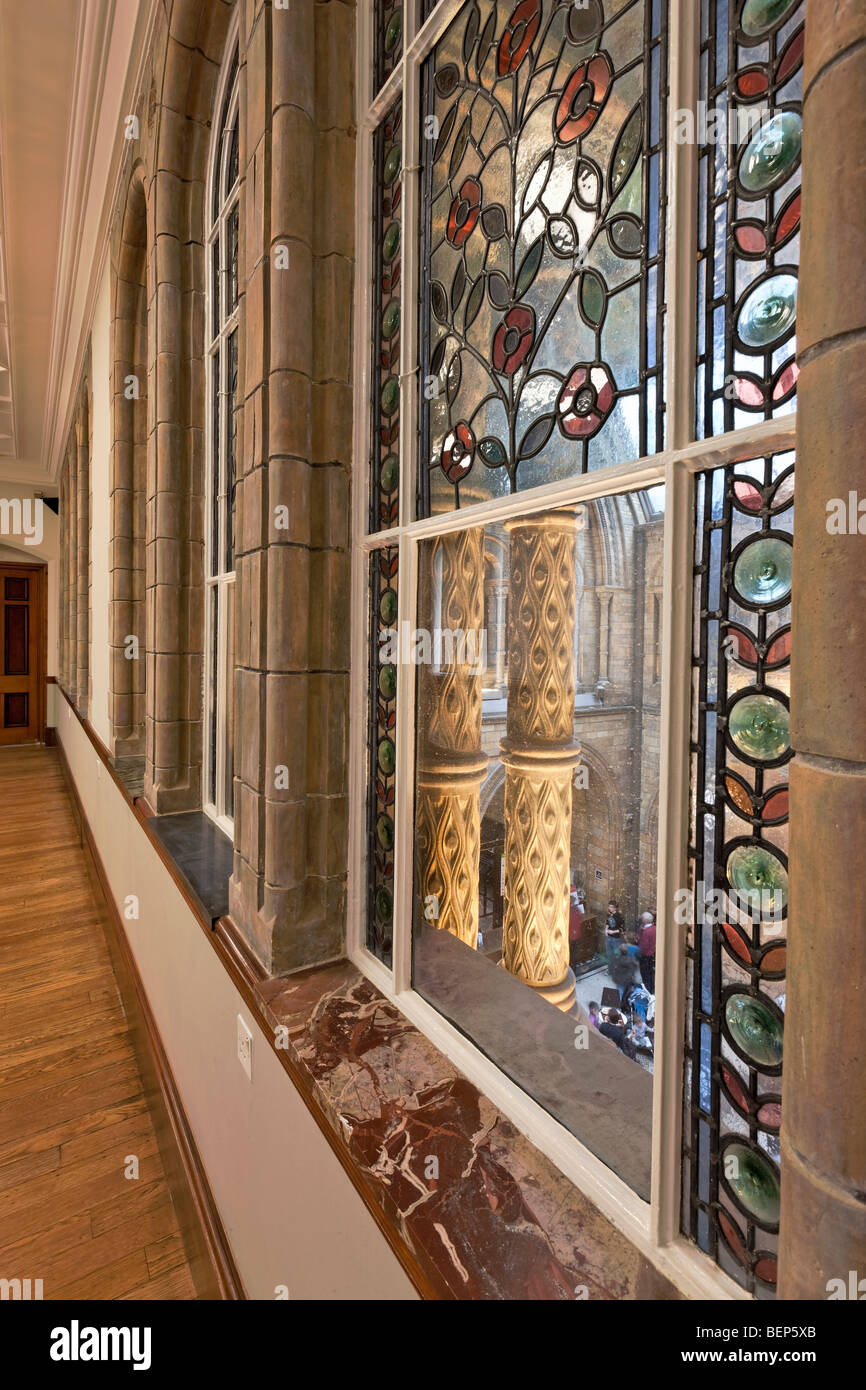 Natural history museum windows hi-res stock photography and images - Alamy