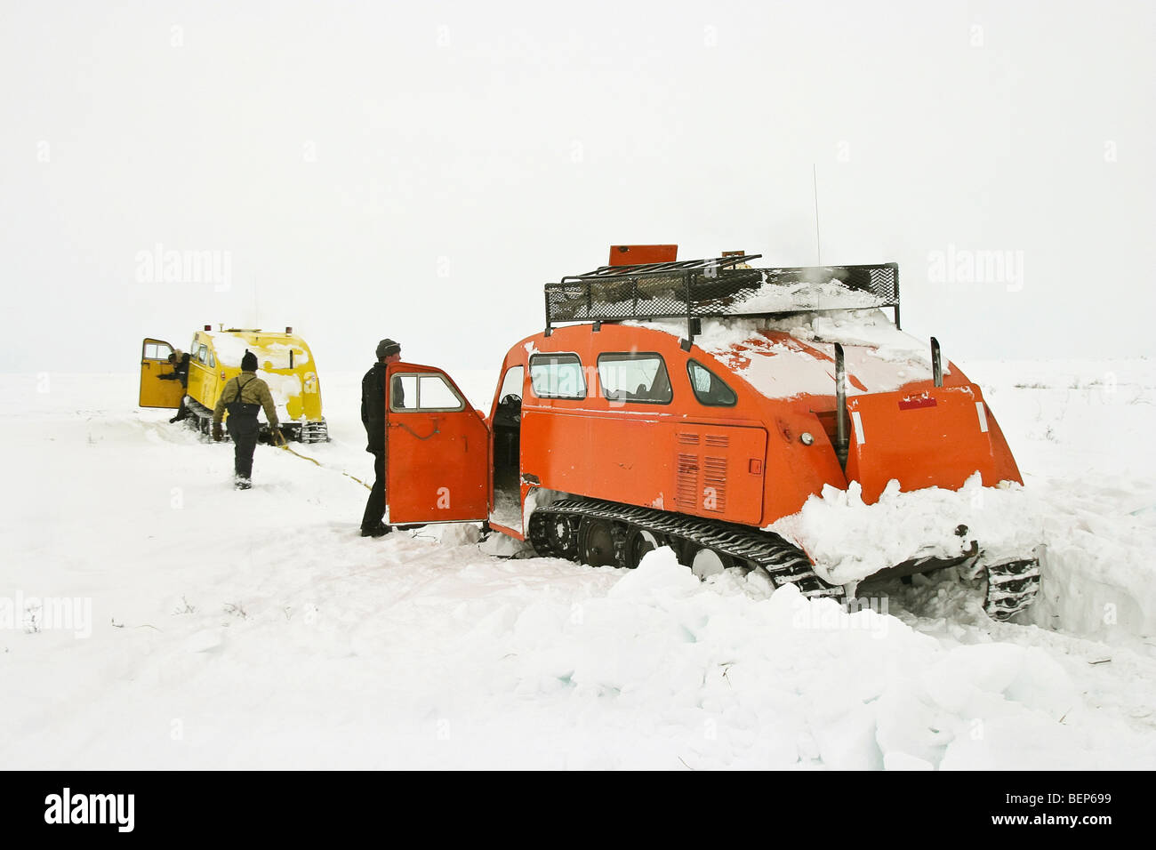 Men dig out stuck snowcoach from deep snow in wilderness tundra of ...