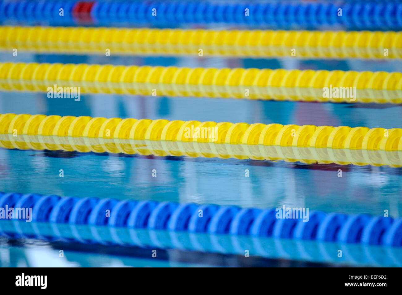 Blue and Yellow floating swimming pool lane markers Stock Photo - Alamy
