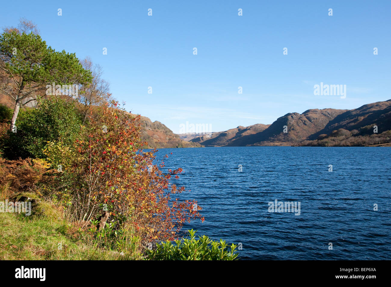 Summer view of Loch Uisg, Isle of Mull, Scotland Stock Photo - Alamy