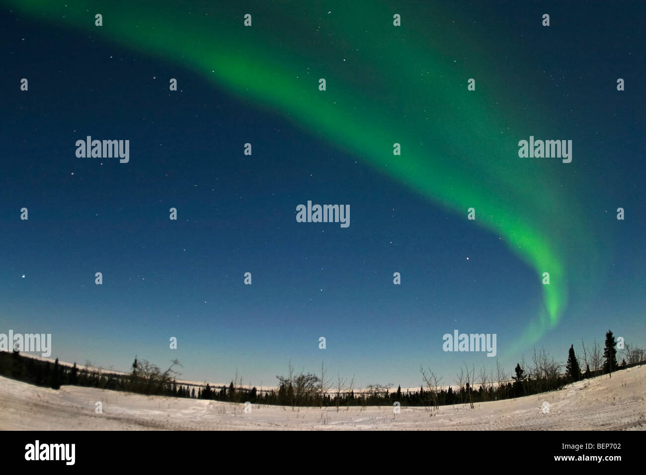 Northern lights, aurora borealis, shine green above the tundra of ...