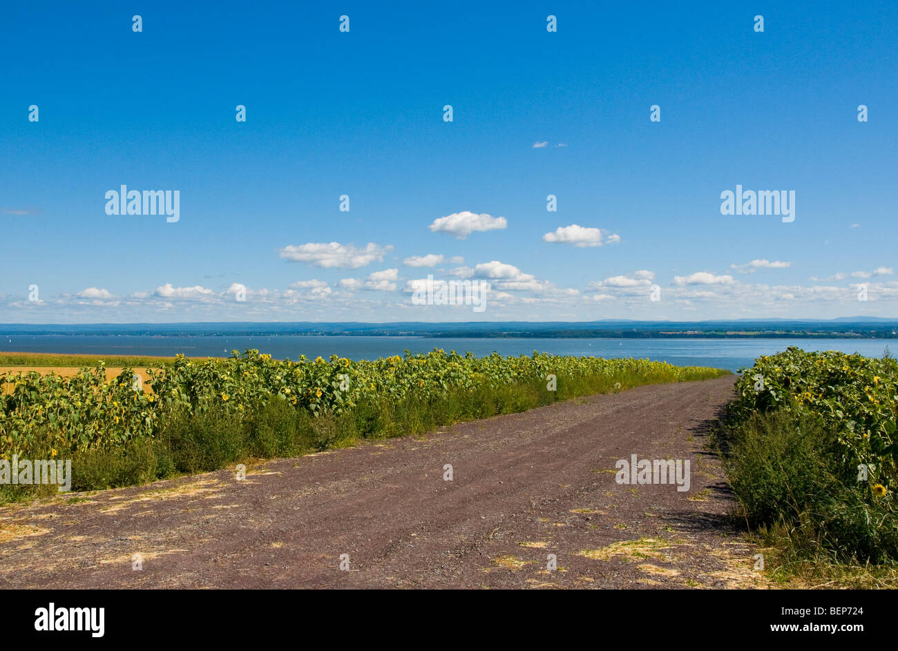 Countryside road in between fields Ile d'orleans Quebec canada Stock ...