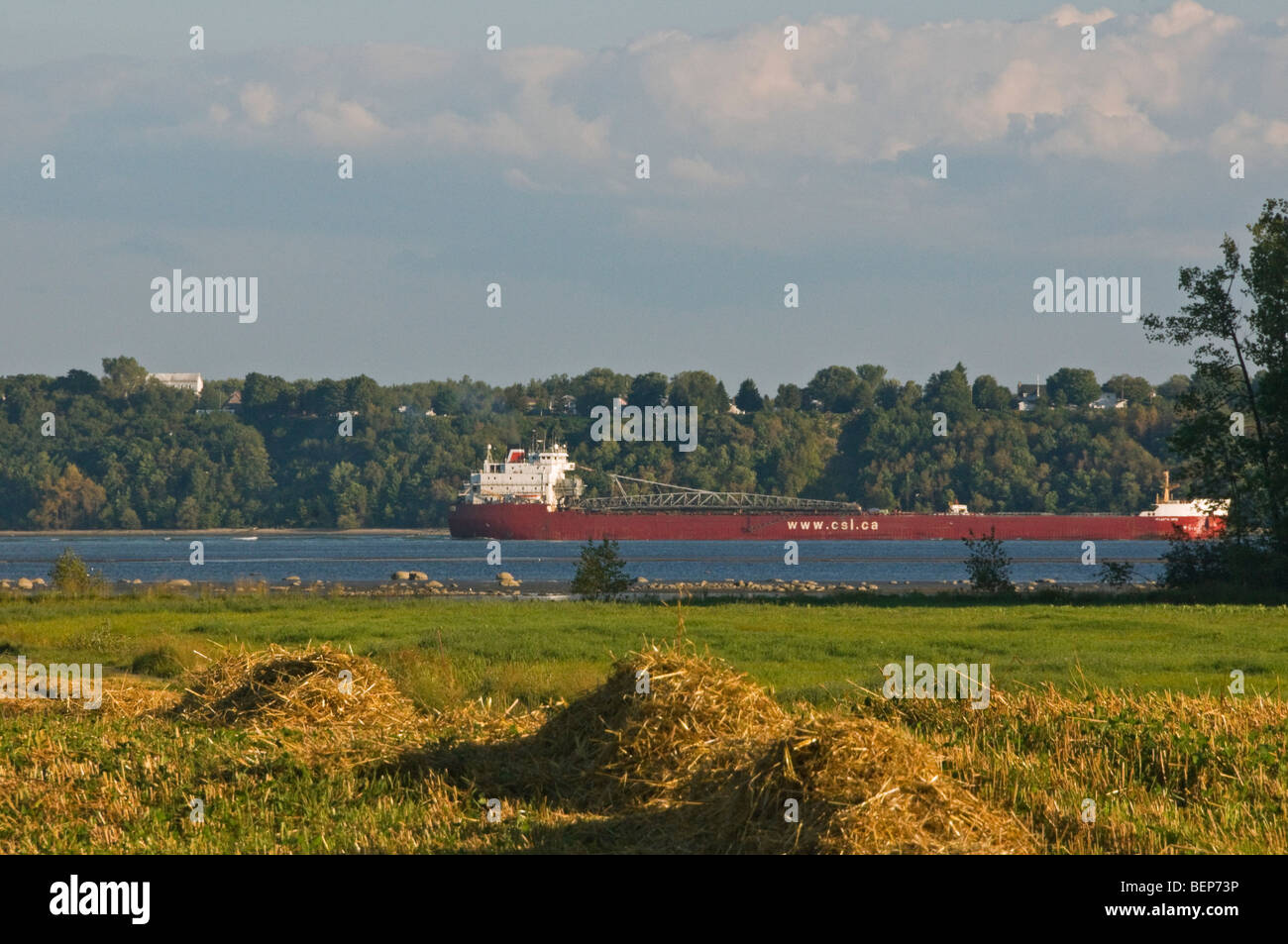Cargo ship navigating on The St Lawrence river region of Quebec Canada ...