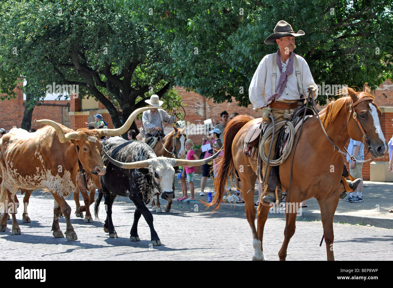 Cowboys cattle hi-res stock photography and images - Alamy
