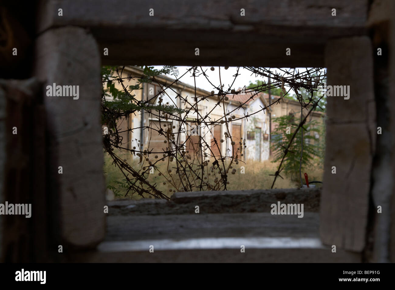 sandbagged wall and firing points across no mans land and restricted ...