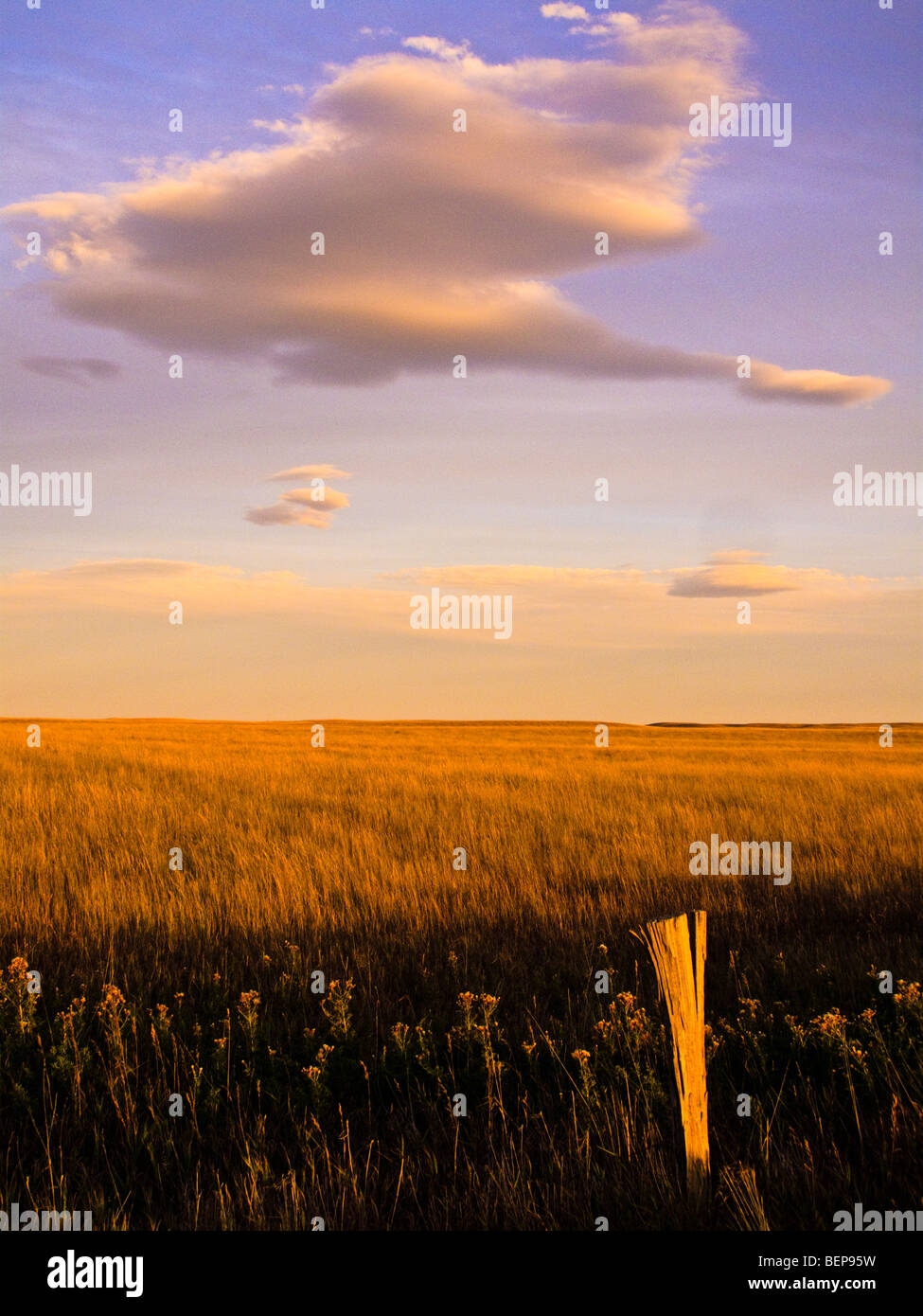Sunlight on fence post and croplands, Ethridge, Montana, USA Stock ...