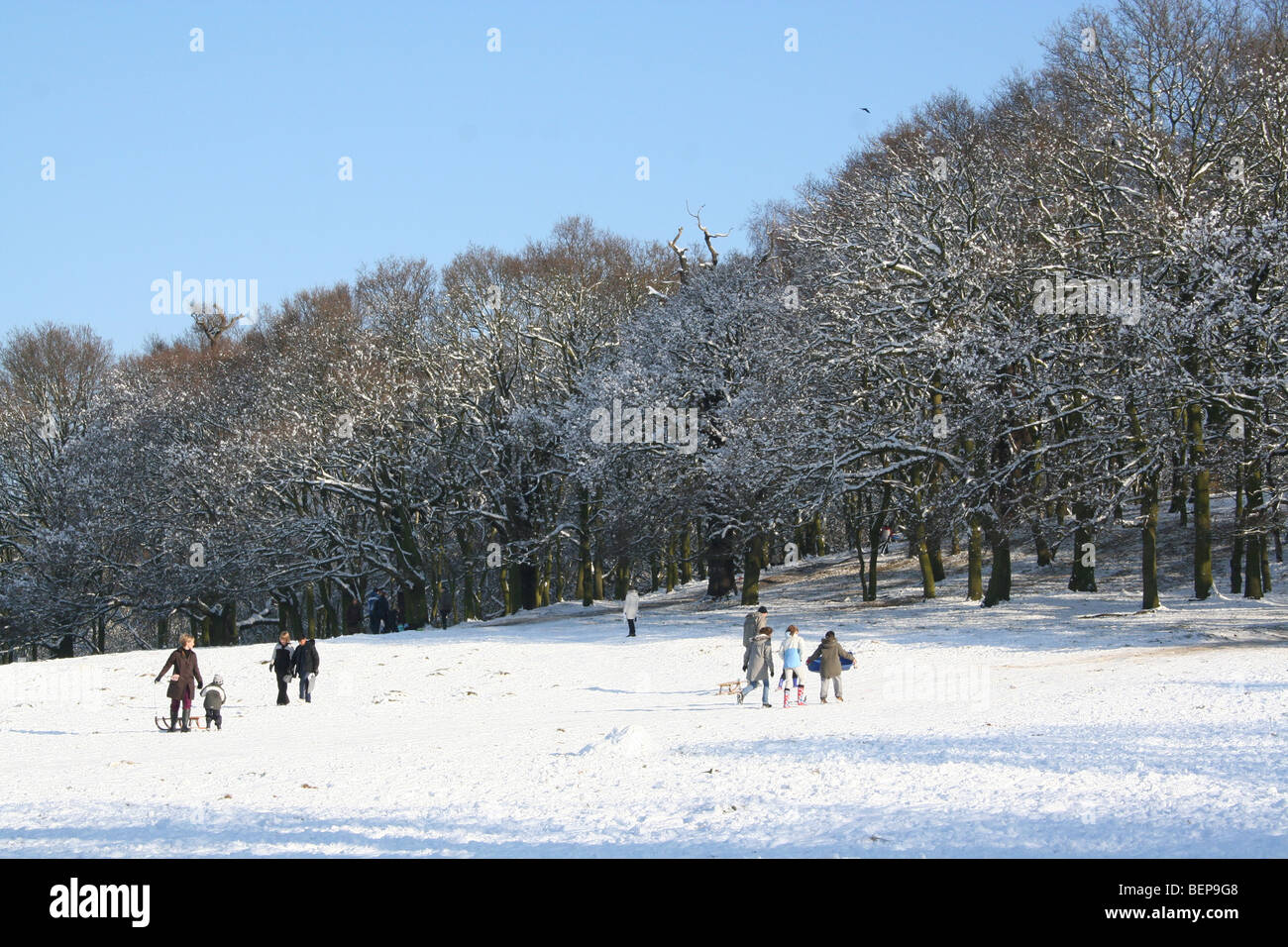 Christmas walk in woods hi-res stock photography and images - Alamy