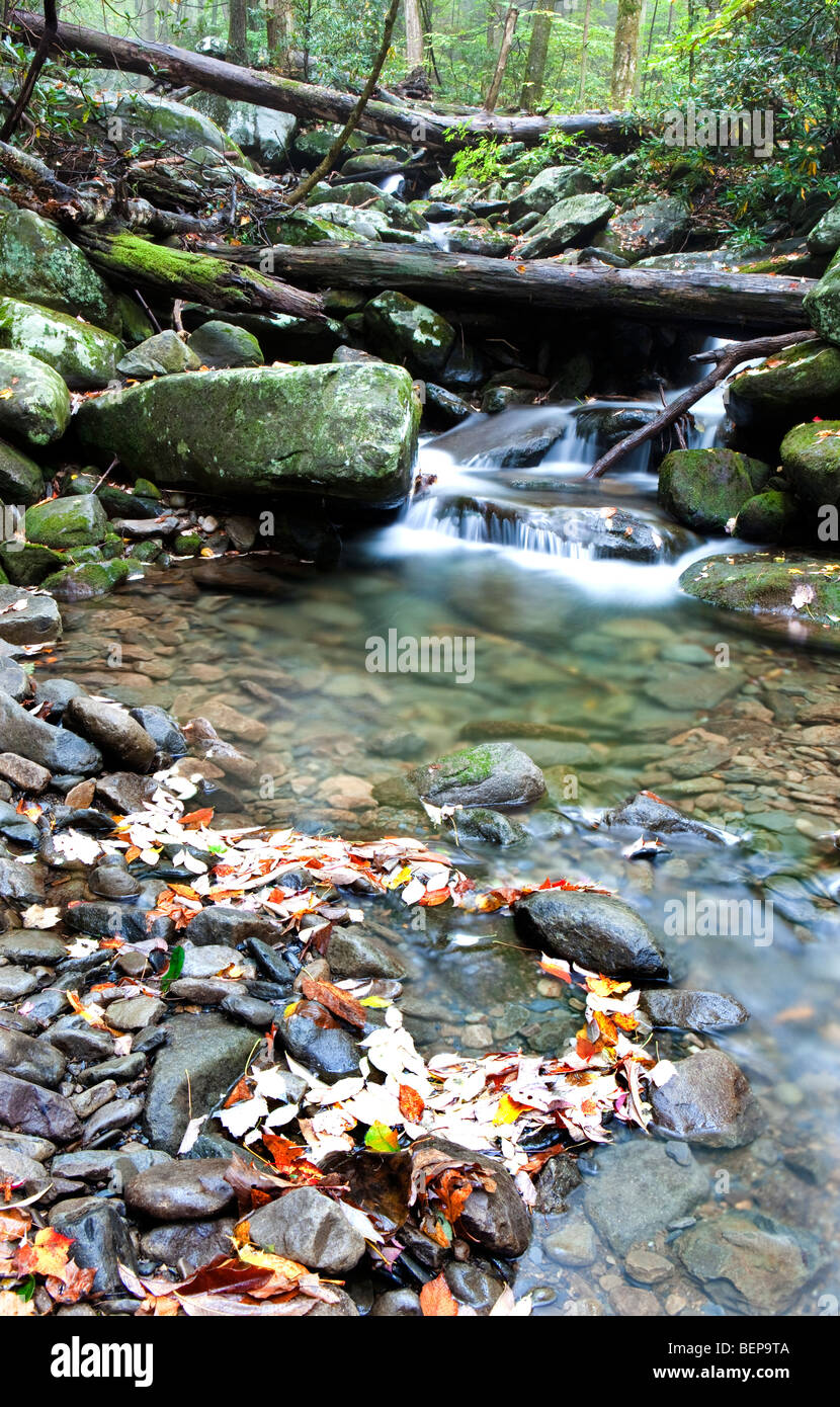 Creek, Great Smoky Mountains National Park, Tennessee Stock Photo - Alamy