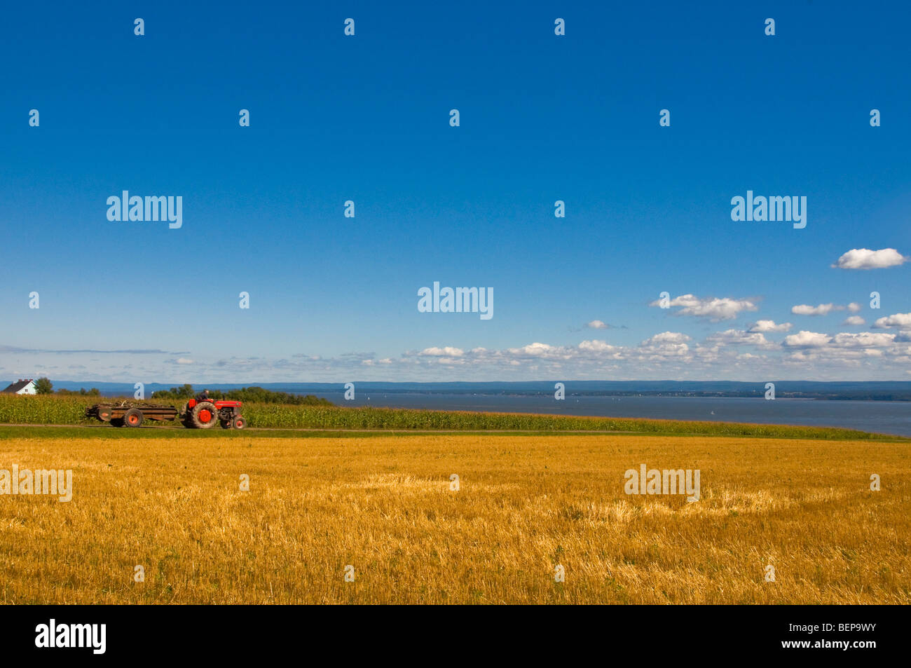 Ile d'orleans Fields Quebec canada Stock Photo - Alamy