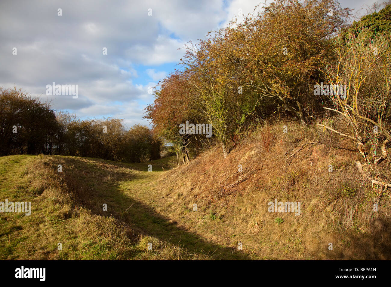 Overgrown castle hi-res stock photography and images - Alamy