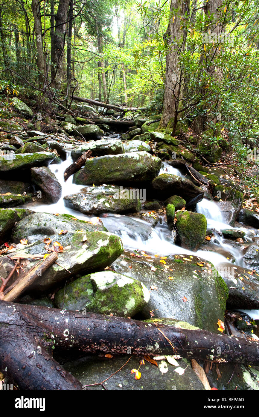 Creek, Great Smoky Mountains National Park, Tennessee Stock Photo - Alamy