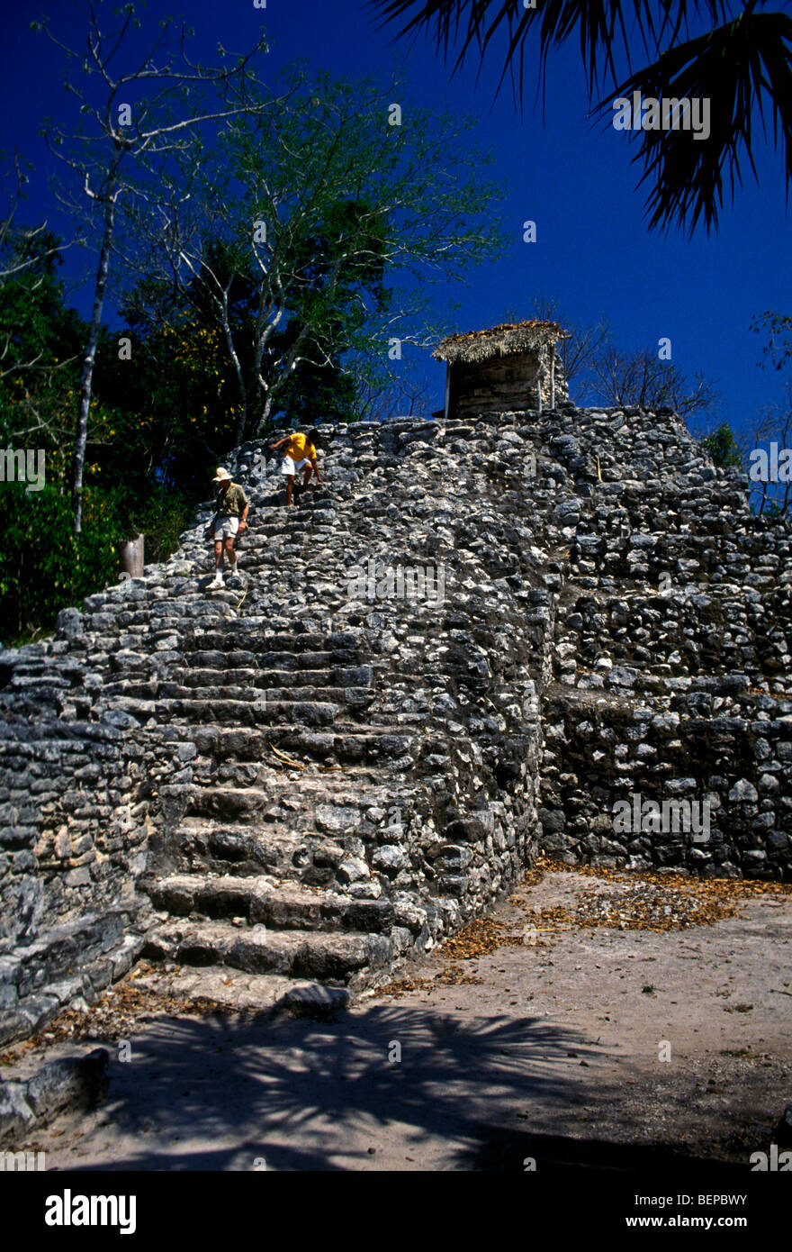 tourists, pyramid, temple, Las Pinturas Group, Coba Archaeological Site ...