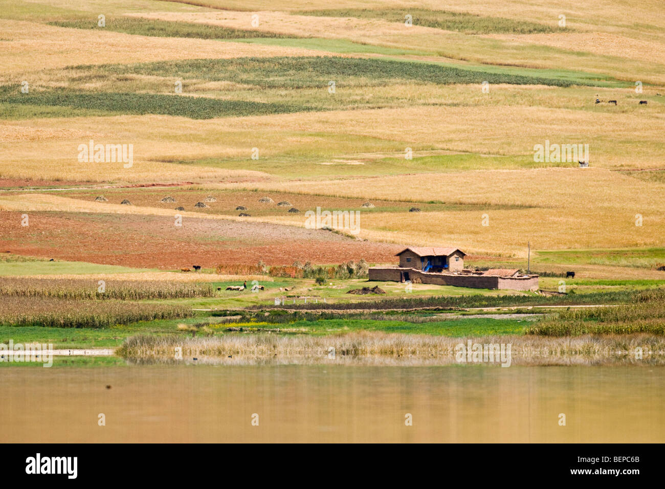Quechuan farm house among the hillside fields next to Huaypo lagoon in ...