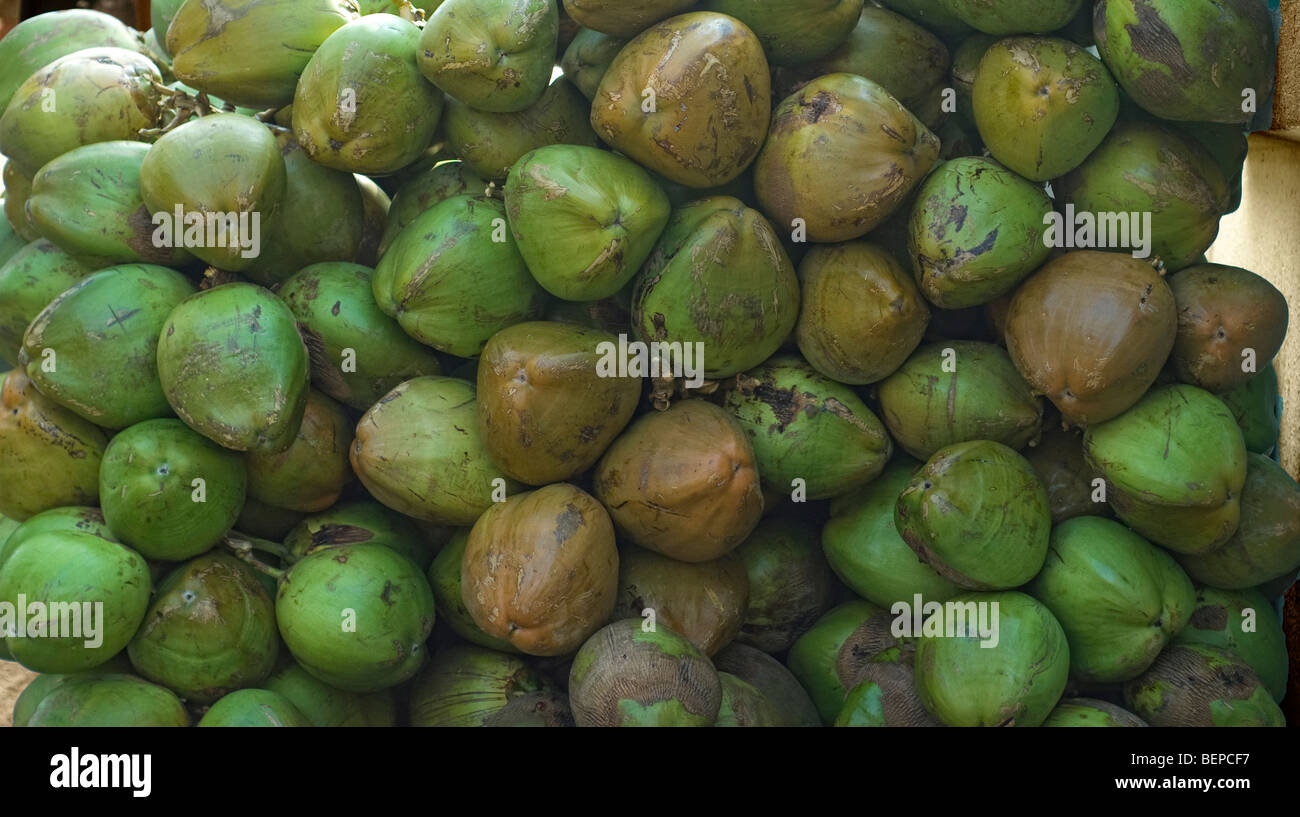 large stack of coconuts Stock Photo - Alamy
