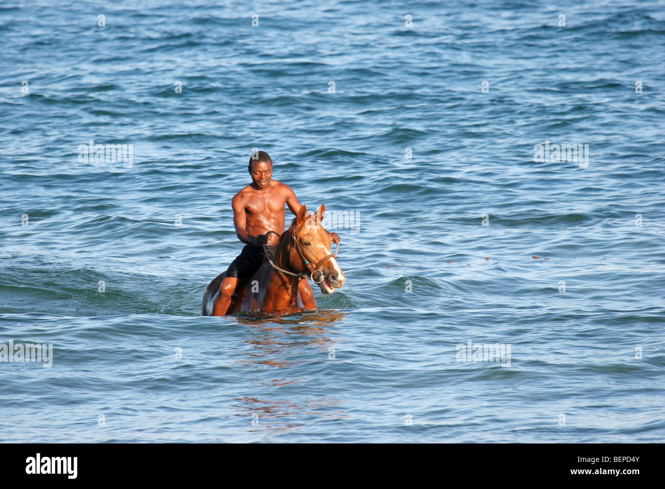 Black man riding horse hi-res stock photography and images - Alamy
