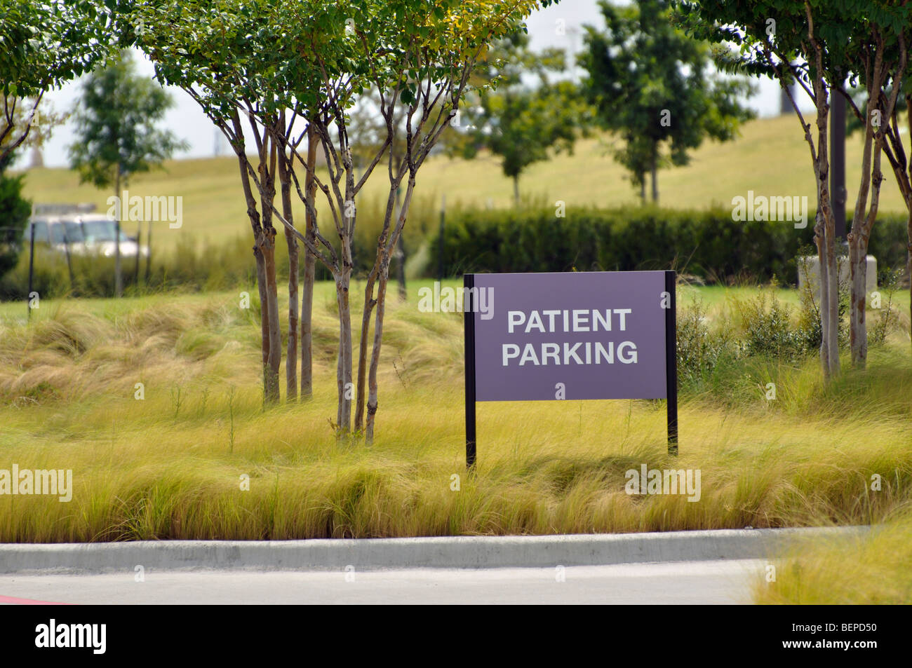 Patient parking sign at hospital Stock Photo - Alamy