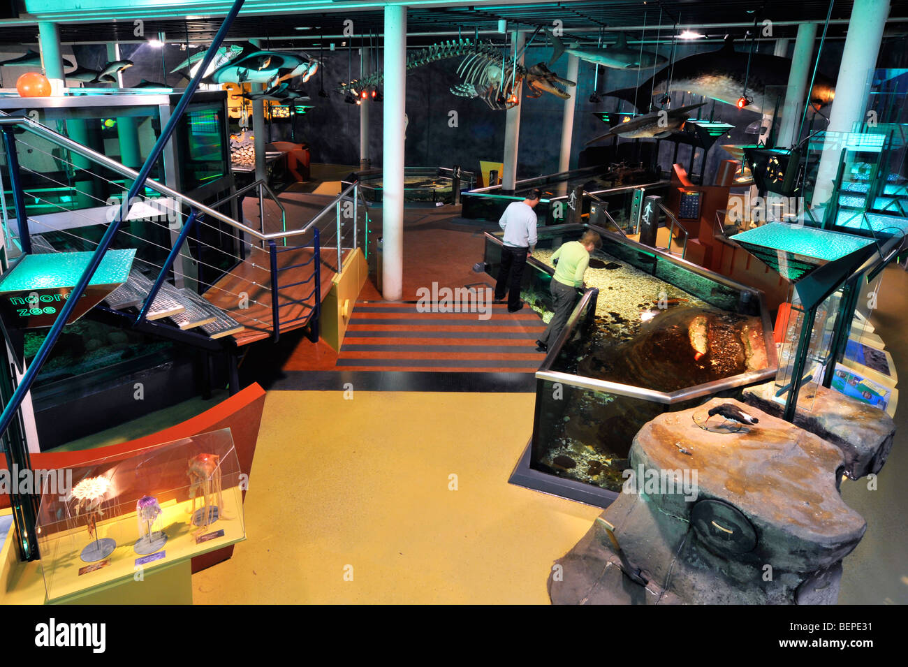 Interior of the North Sea museum about marine wildlife and seal shelter ...