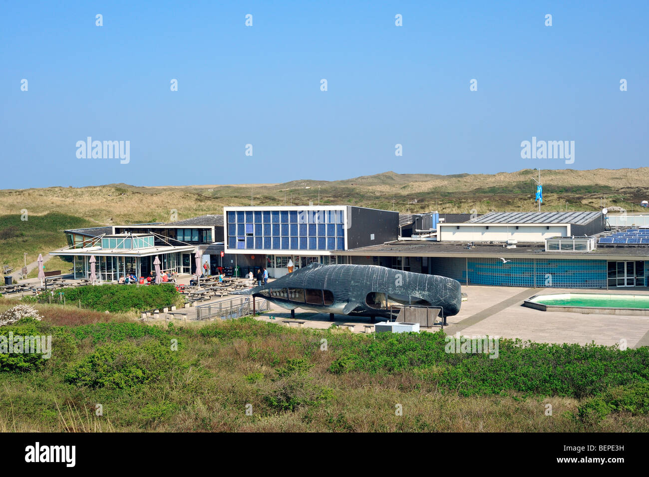 The North Sea museum and seal shelter Ecomare at Texel, the Netherlands ...