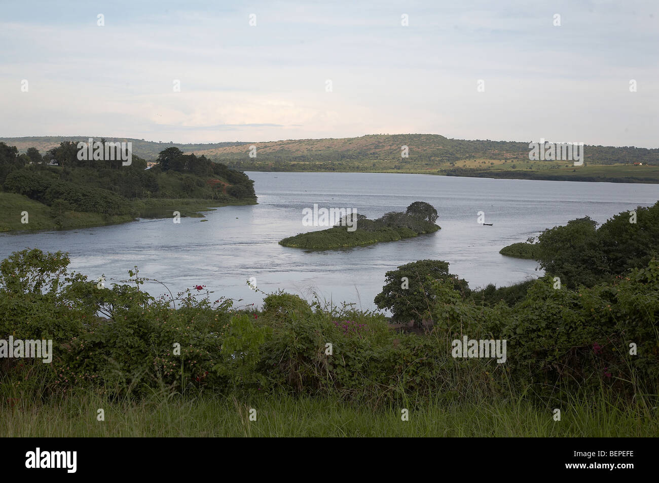 Source Of Nile River Located