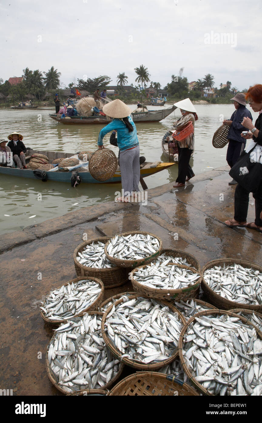 Unloading fish hi-res stock photography and images - Alamy