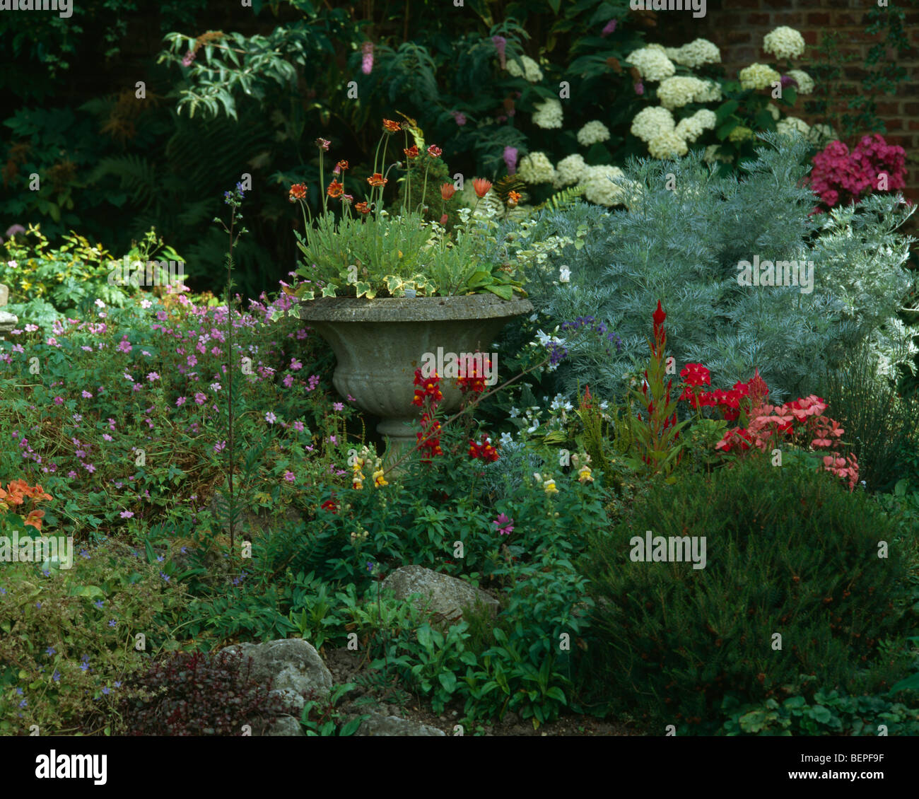 Stone urn in summer garden border with mauve erysimum and white ...