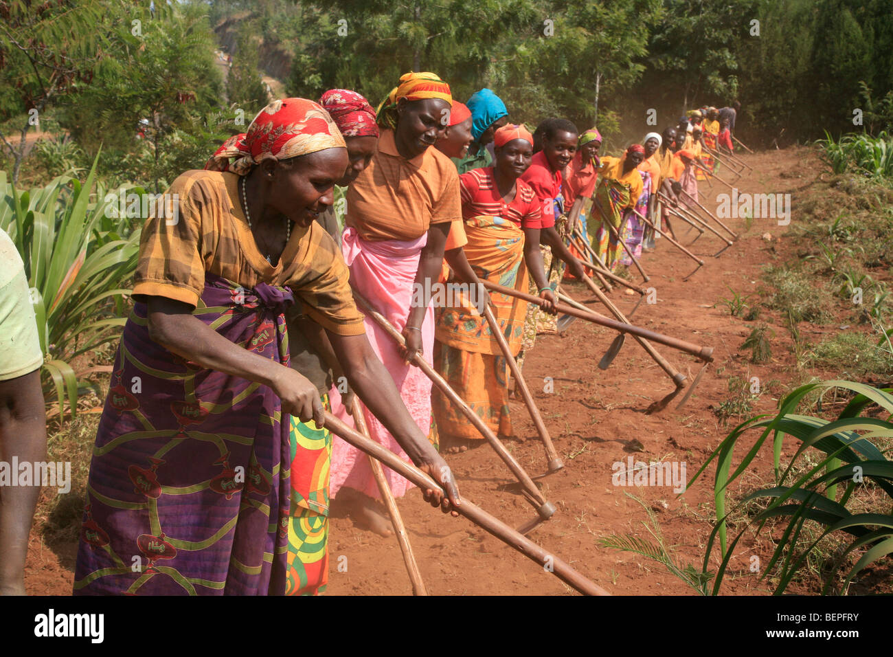 Youth and labor hi-res stock photography and images - Alamy