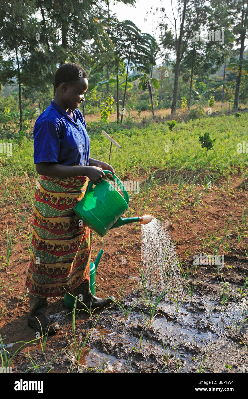 Agakura hi-res stock photography and images - Alamy