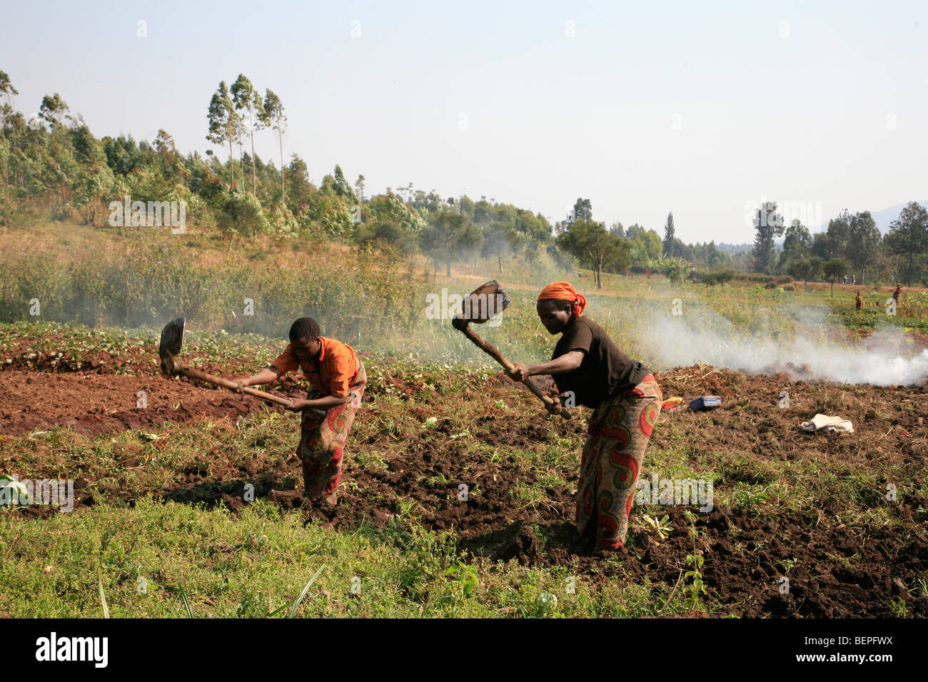 BURUNDI Farmers of Gitega. PHOTOGRAPH by Sean Sprague 2009 Stock Photo ...