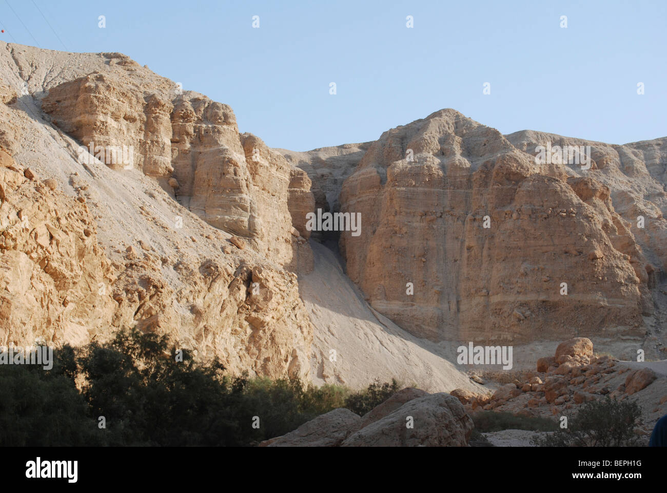 Israel, Judea Desert, Einot Zokim a blooming desert oasis on the shore ...