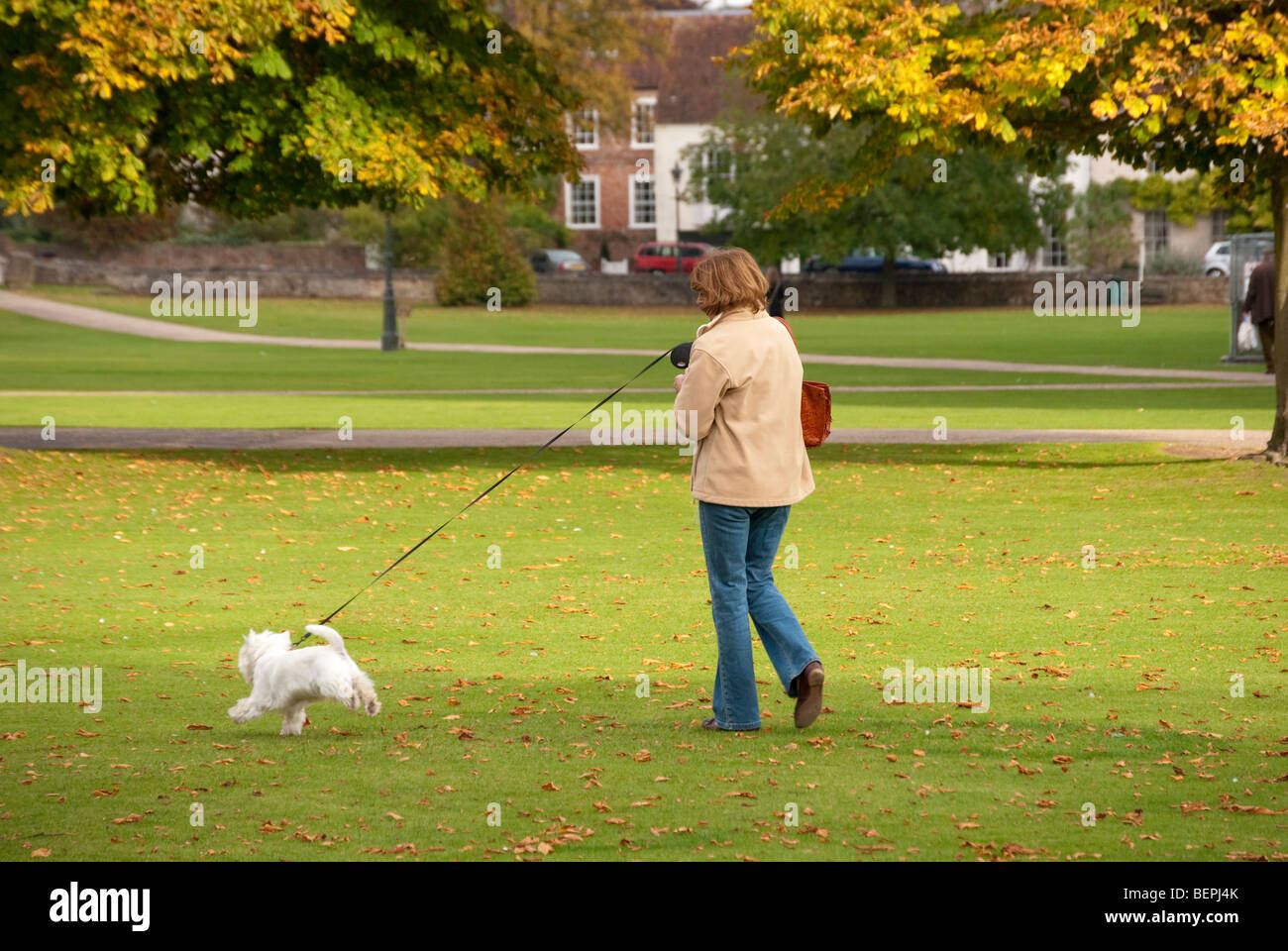 Women walking men on leash hi-res stock photography and images - Alamy