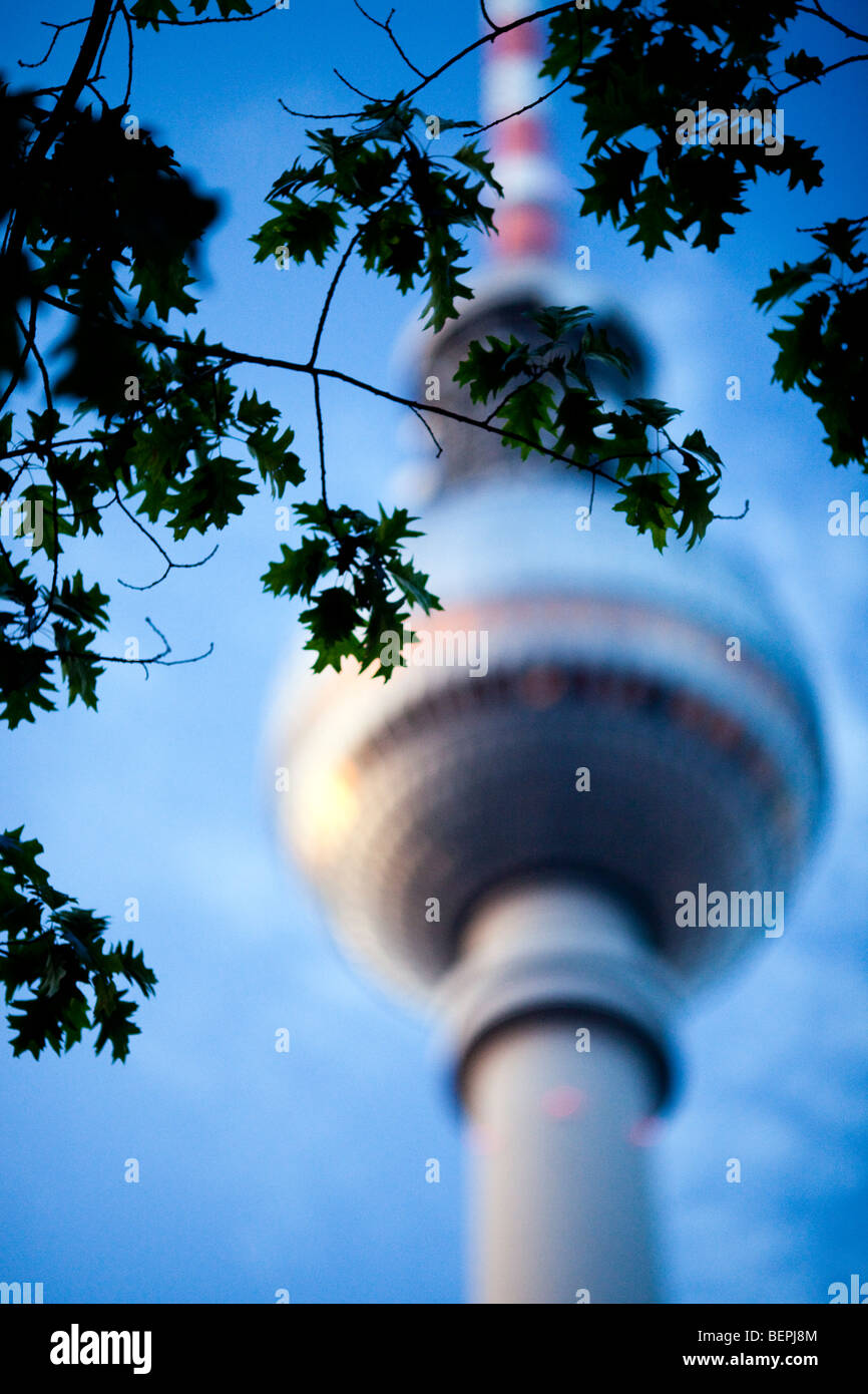 Tree branches with the top of the Television Tower on the blurred ...