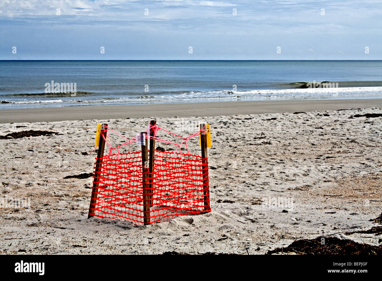 Orange plastic fence with warning signs around a sea turtles nest in ...