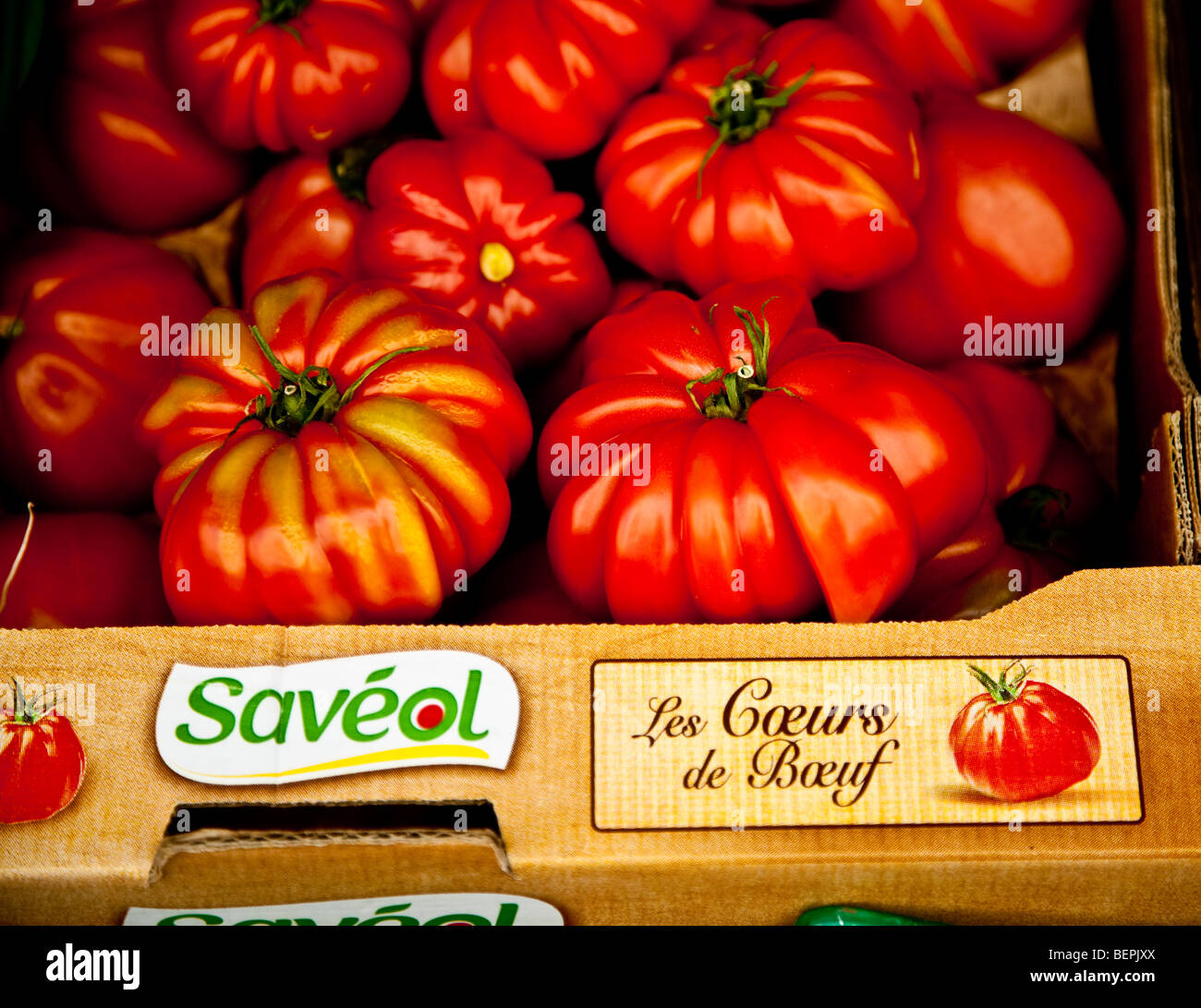 Nice tomatoes hi-res stock photography and images - Alamy