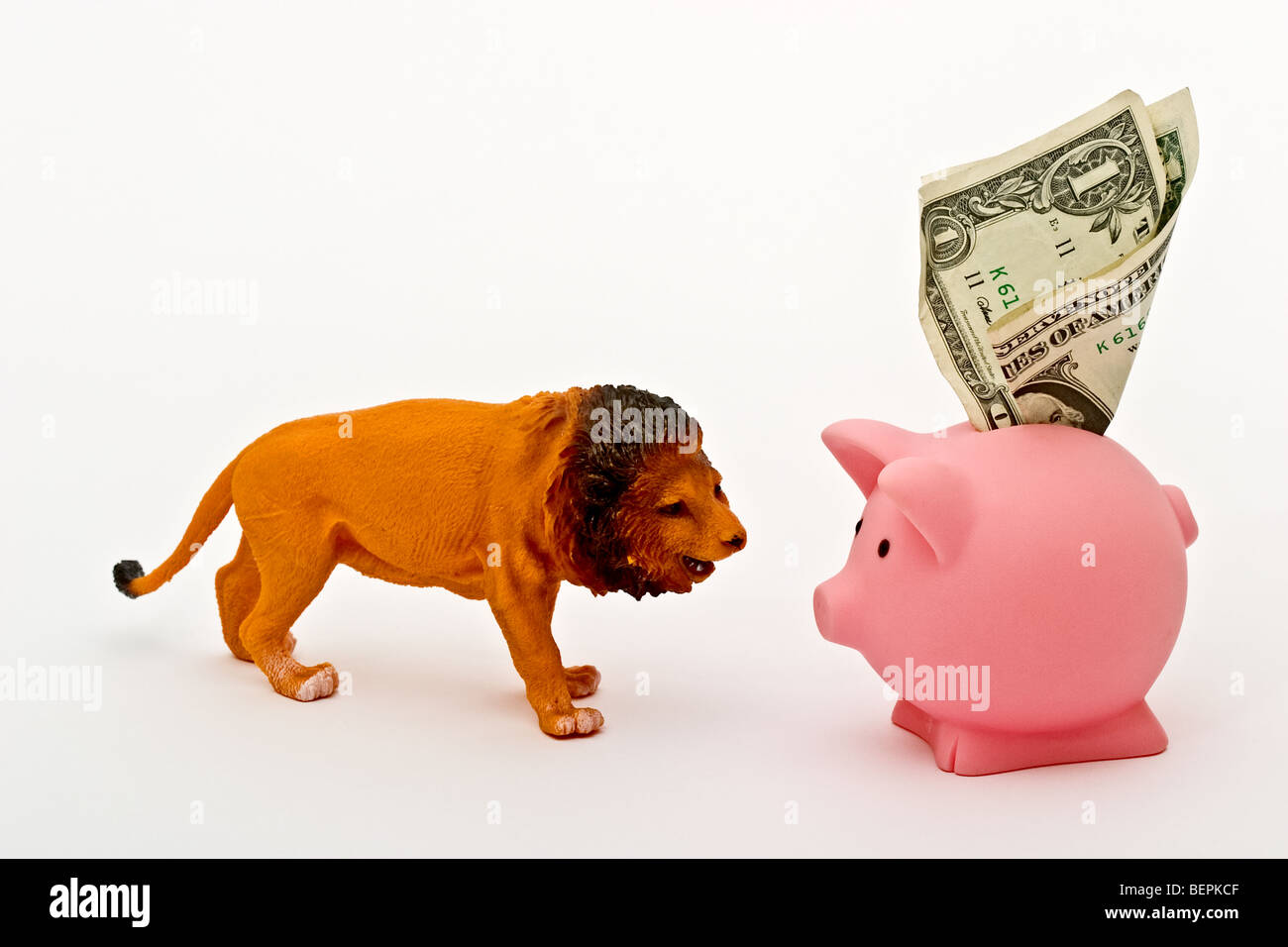 Small plastic lion facing down a piggy bank with money in the coin slot ...