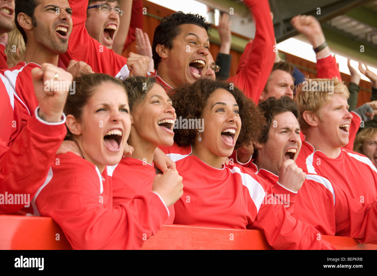Fans celebrating at football match Stock Photo - Alamy