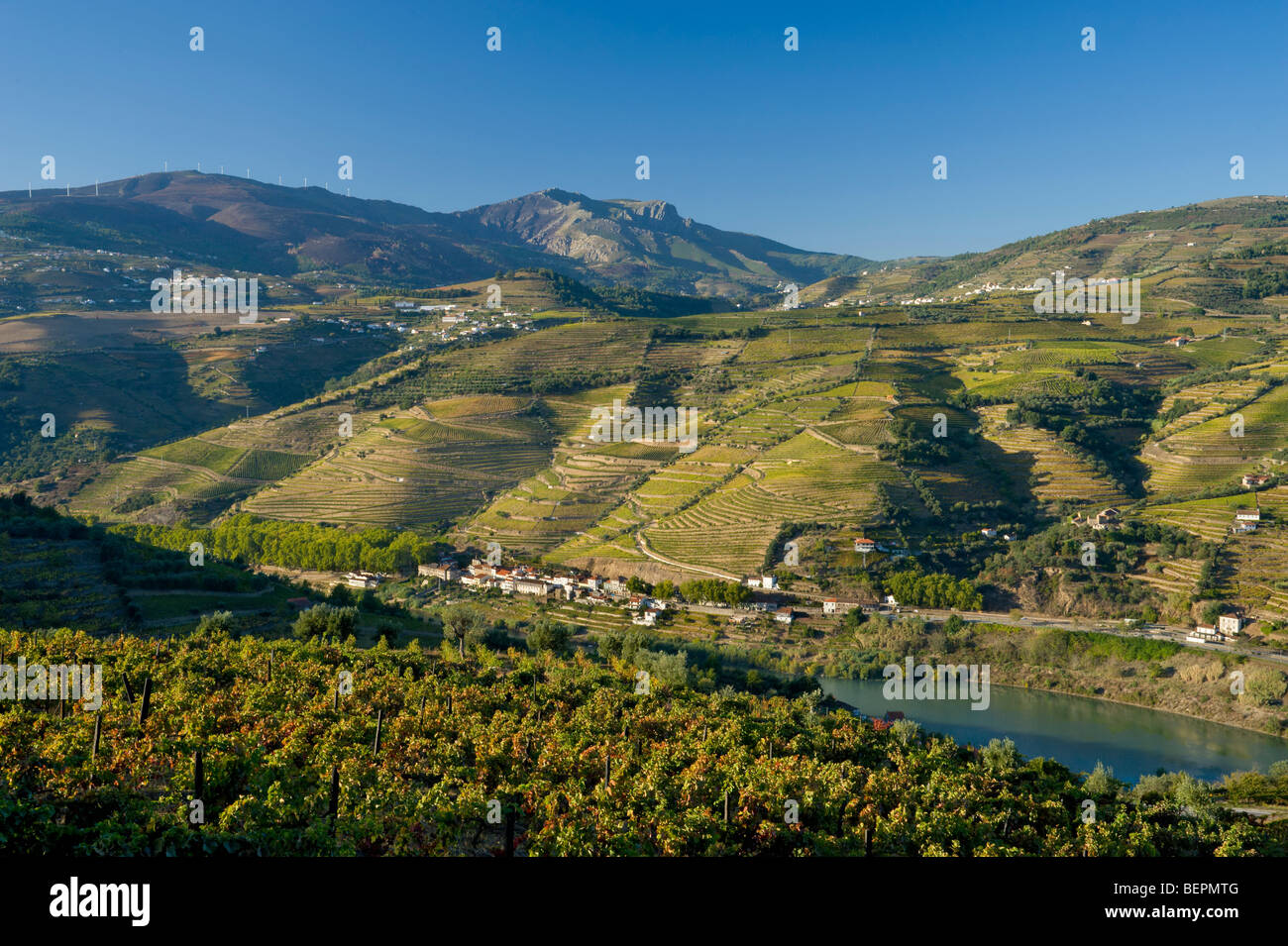 Portugal, the Alto Douro region, Douro river and vineyards at Mesao ...
