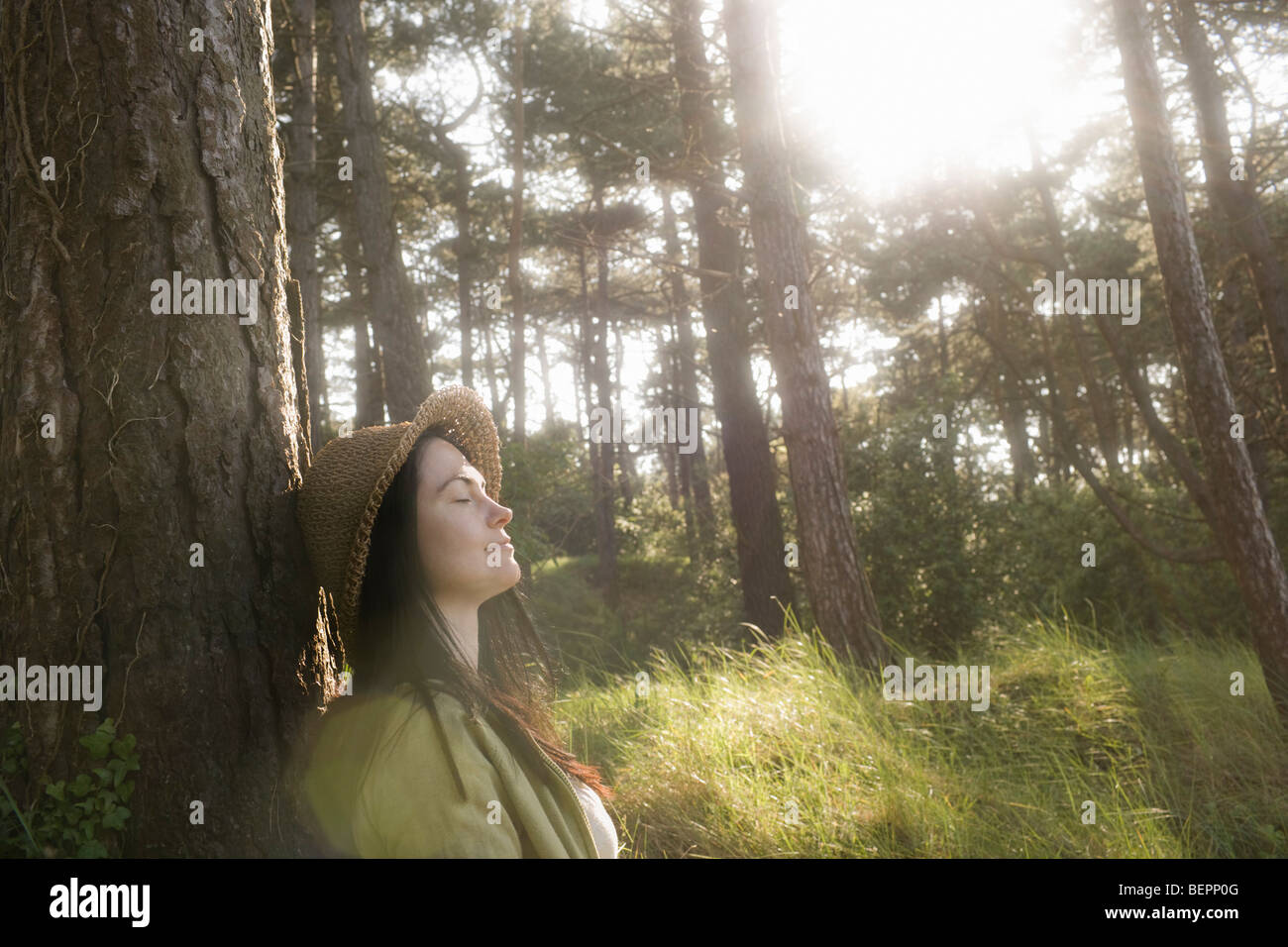 Woman relaxing against tree Stock Photo - Alamy