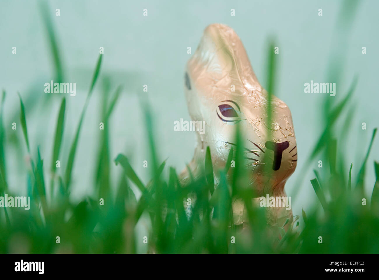 Easter bunny fantasy hi-res stock photography and images - Alamy